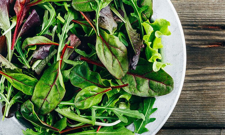 Blattsalatsorten - Lebensmittel - Lexikon - Magazin - Tischwelt Online Shop